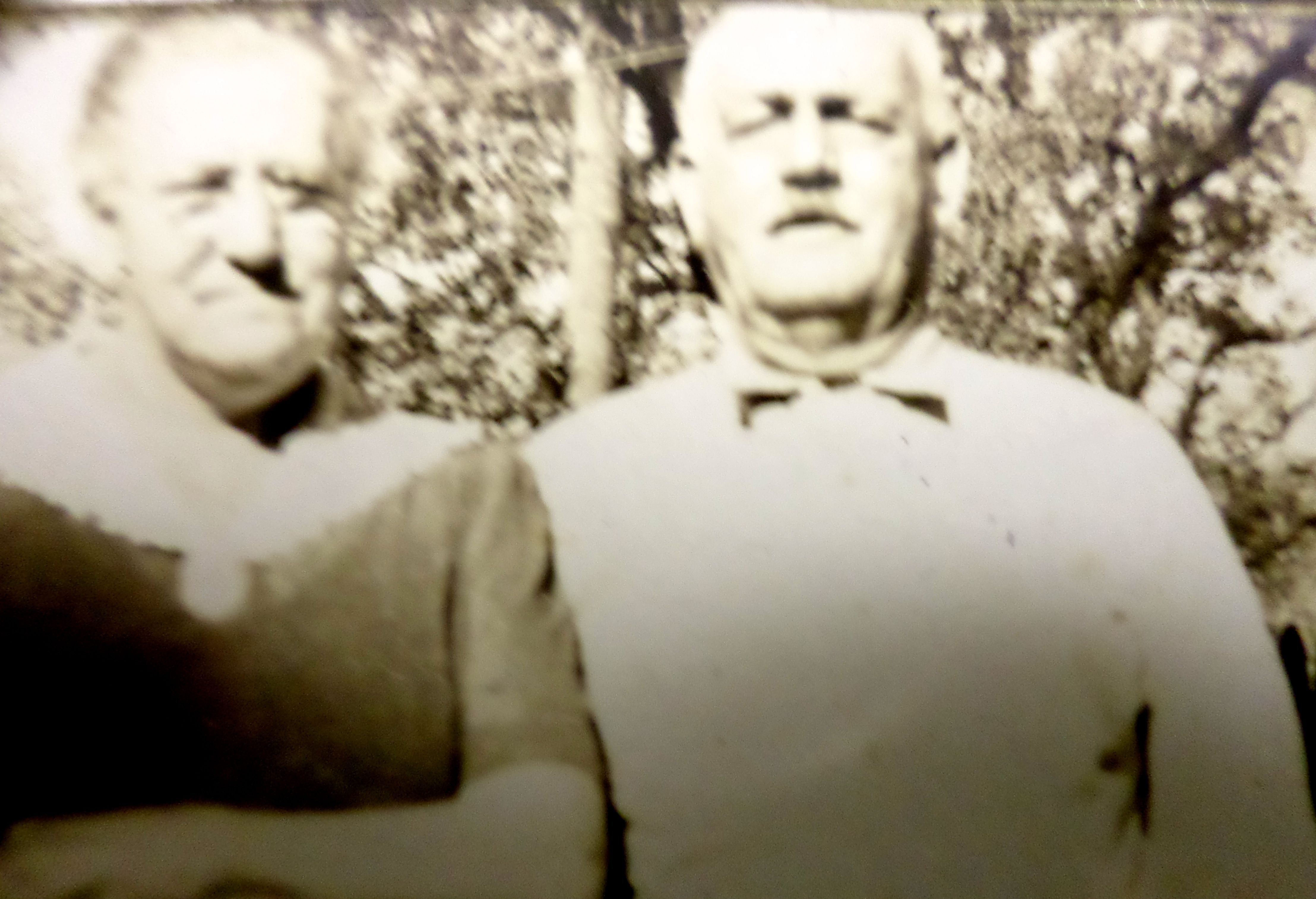 Croatian arrivals from Cres-Battaya, Evanocich, Velcich, Pisarich and ...